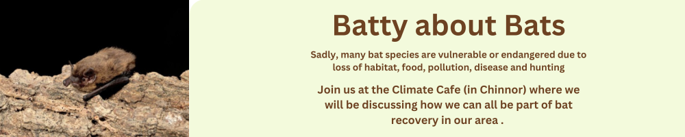 Batty about Bats : Climate Cafe talk 25th October 2023 » 21st Century Thame