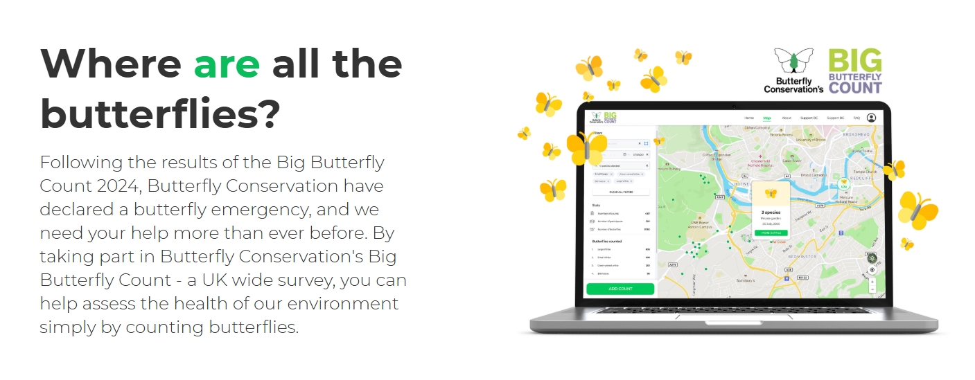 Big Butterfly Count 2025 - join in NOW ! until 10th August » 21st ...